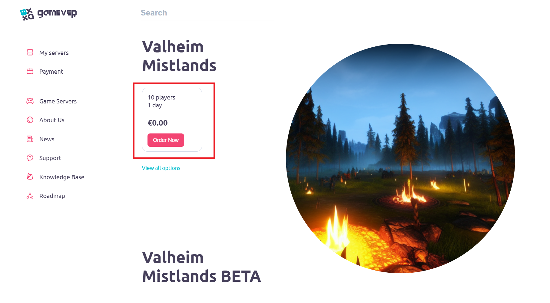 Gamever.io next-gen game hosting