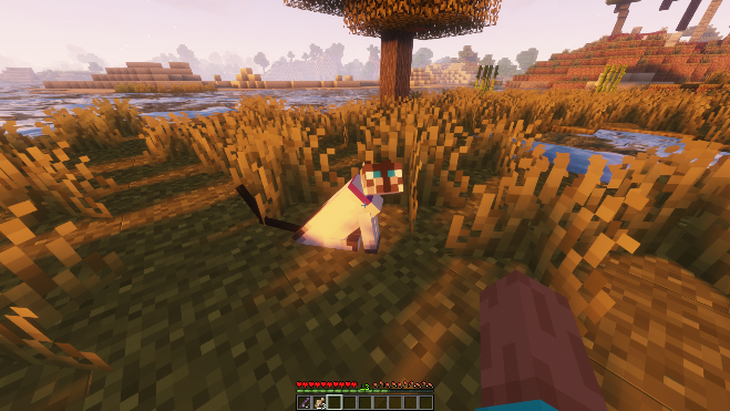 Gamever.io next-gen game hosting