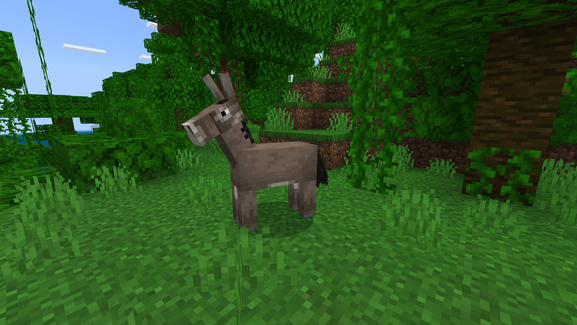 Gamever.io next-gen game hosting