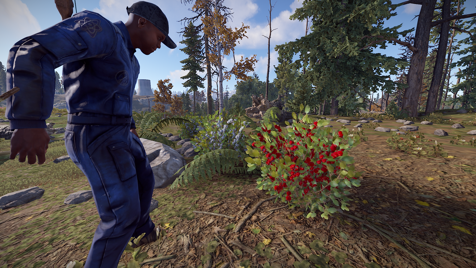 How to get worms in Rust - gamever