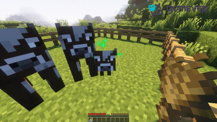 Gamever.io next-gen game hosting