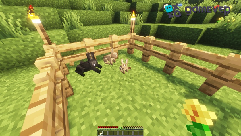 Gamever.io next-gen game hosting