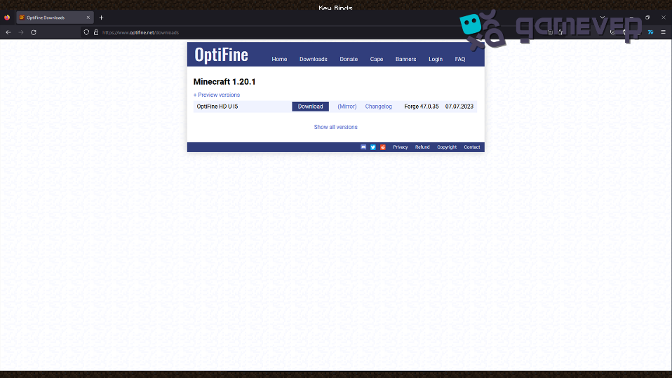 Gamever.io next-gen game hosting