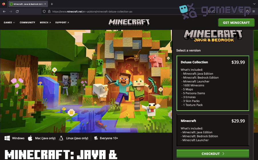 Gamever.io next-gen game hosting