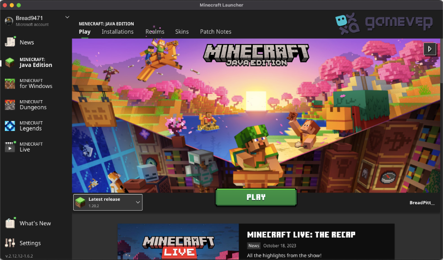 Gamever.io next-gen game hosting