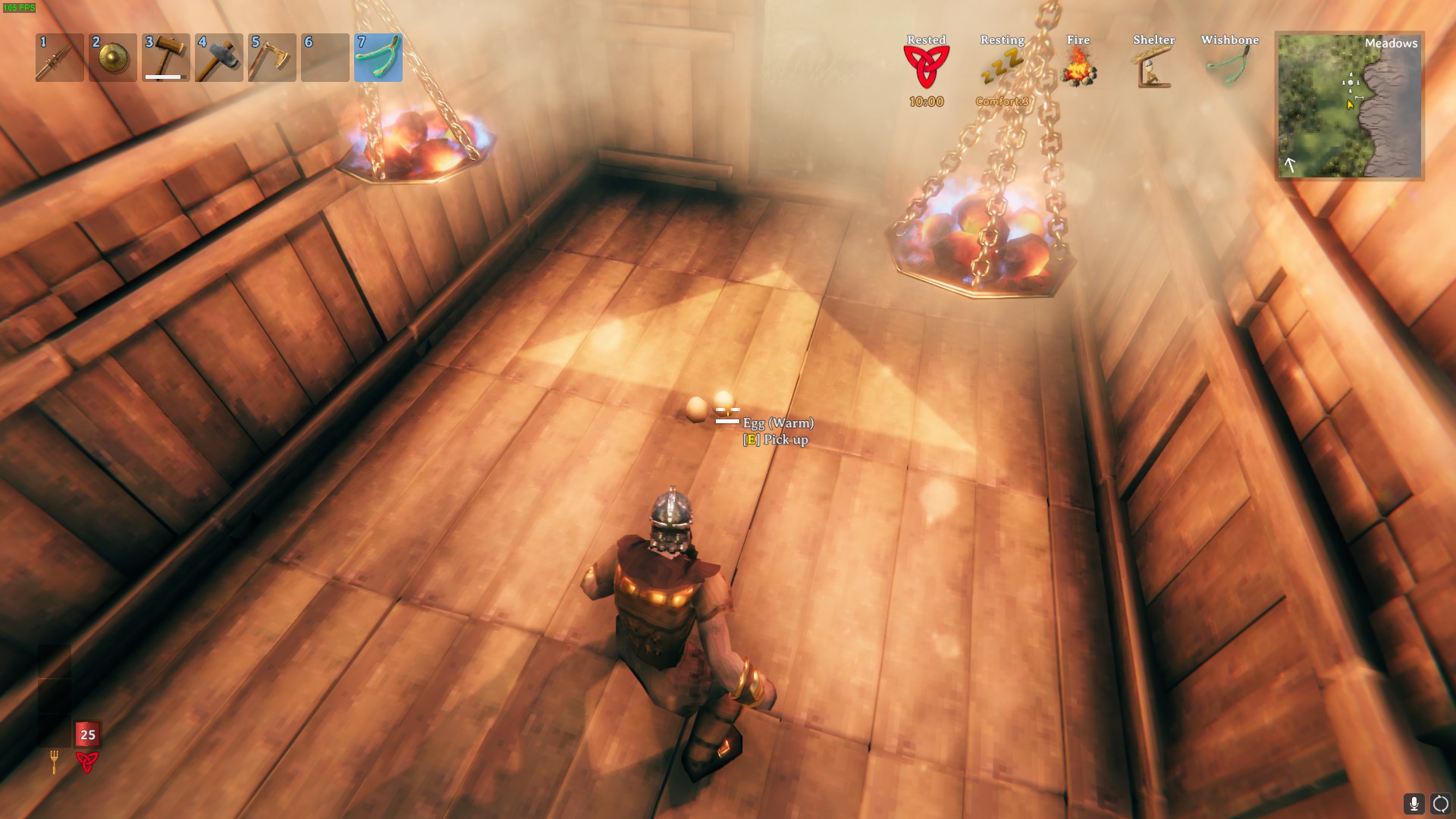 Vulture Egg Valheim