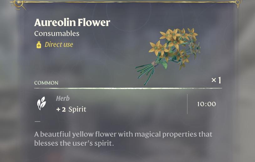 Gamever.io next-gen game hosting