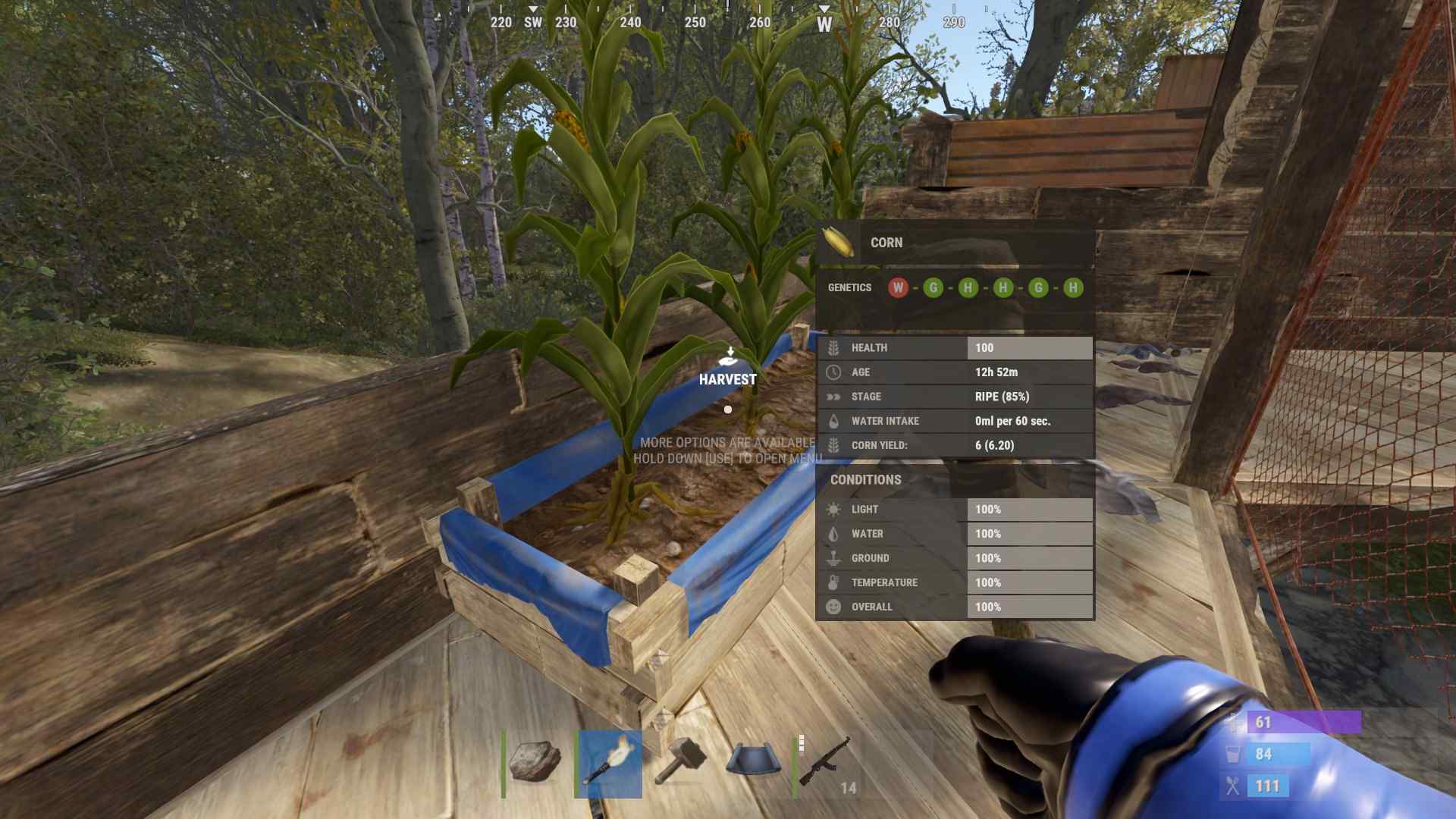 Gamever.io next-gen game hosting