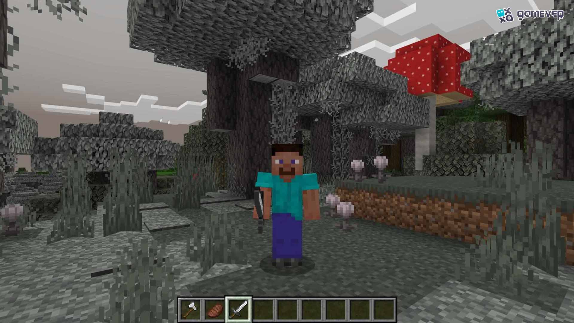 Gamever.io next-gen game hosting