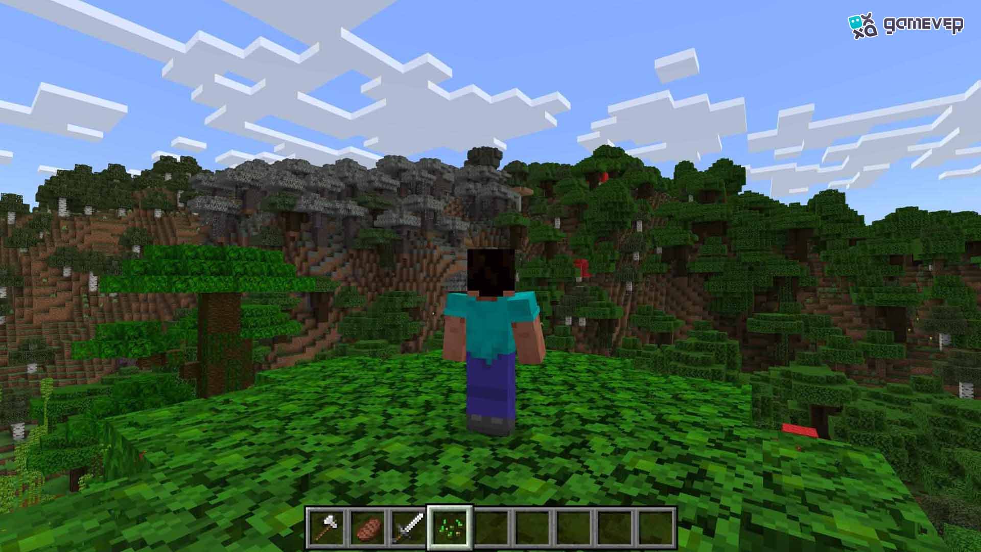 Gamever.io next-gen game hosting