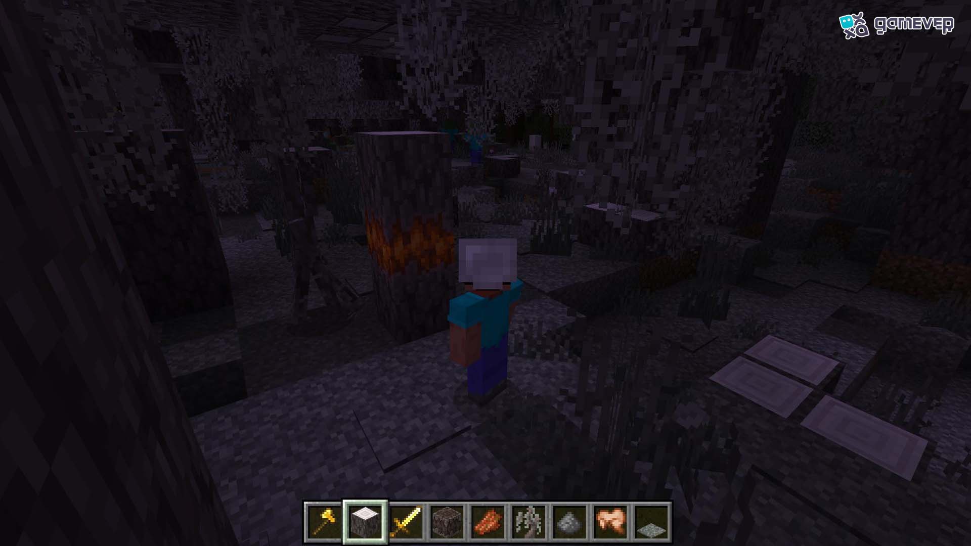 Gamever.io next-gen game hosting