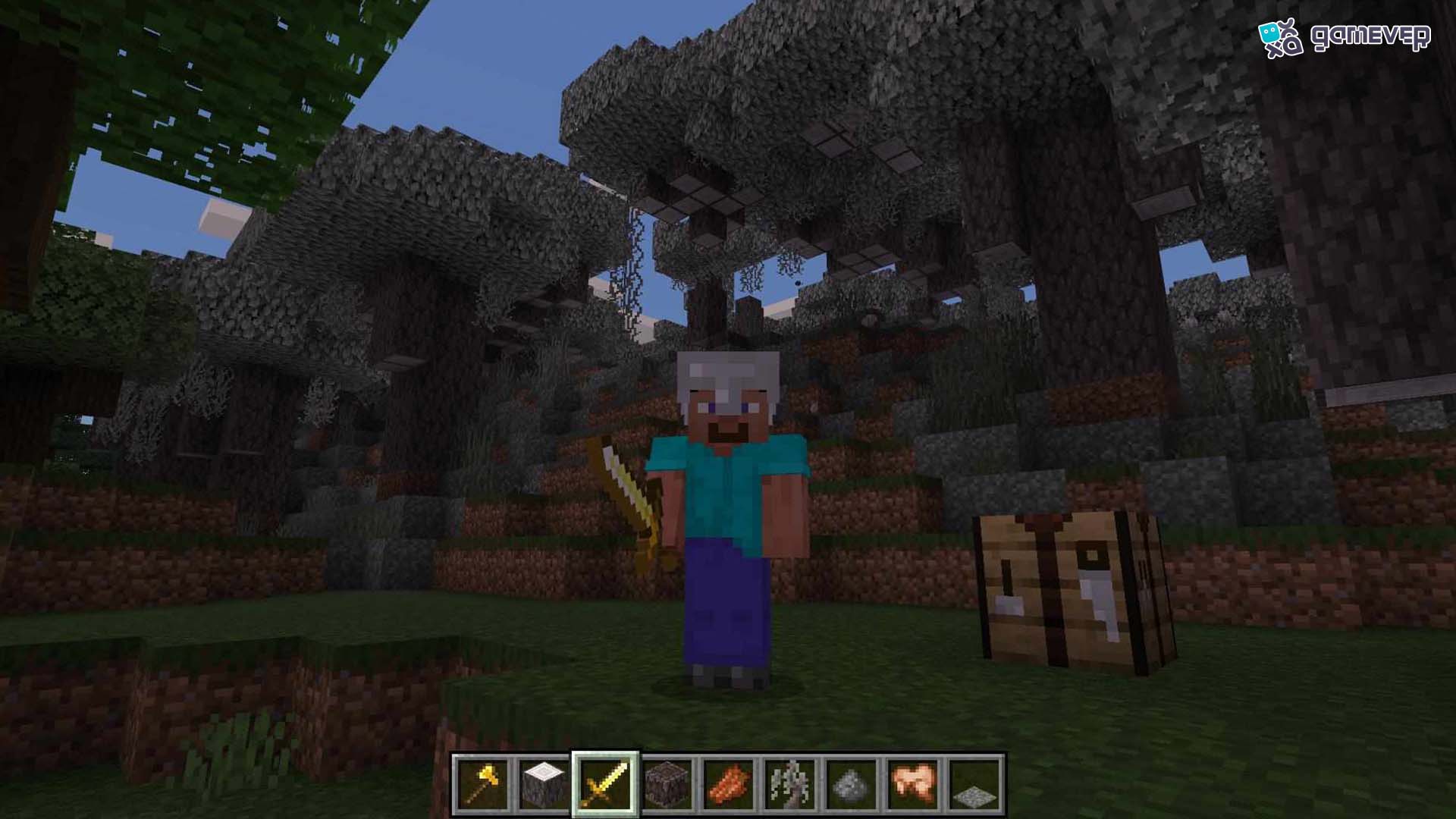 Gamever.io next-gen game hosting