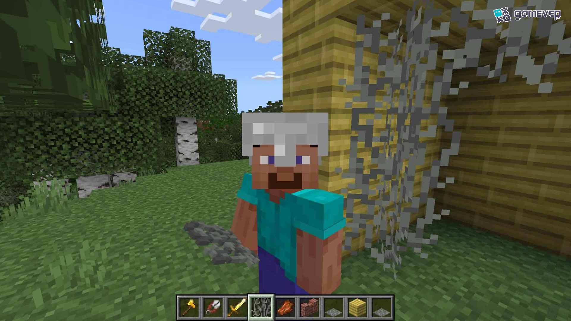 Gamever.io next-gen game hosting