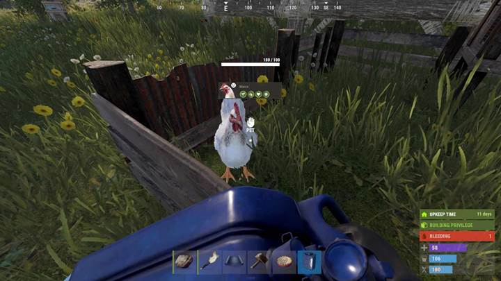 Gamever.io next-gen game hosting