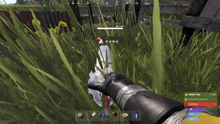 Gamever.io next-gen game hosting