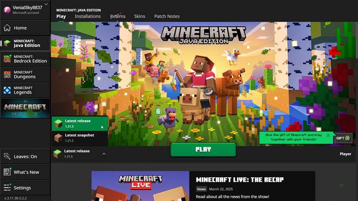 Gamever.io next-gen game hosting