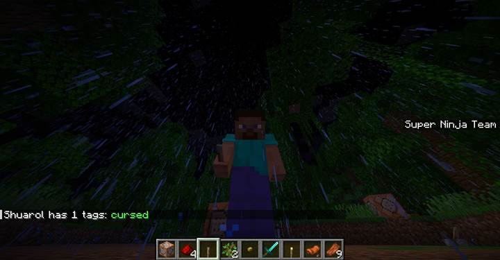 Gamever.io next-gen game hosting