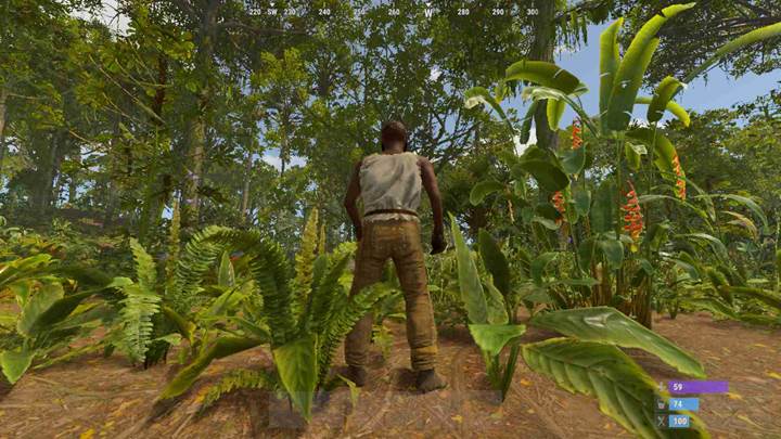 Gamever.io next-gen game hosting