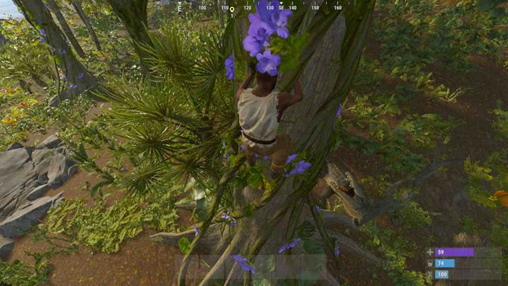 Gamever.io next-gen game hosting